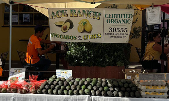 Ace Ranch - FarmShoppr