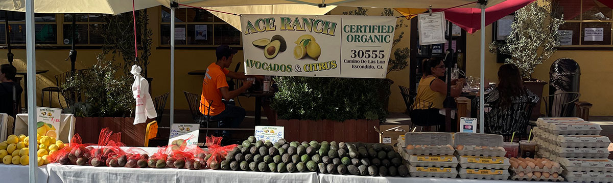 Ace Ranch - FarmShoppr