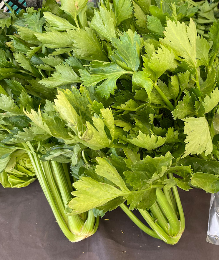 Celery [McGrath Family Farm] - FarmShoppr