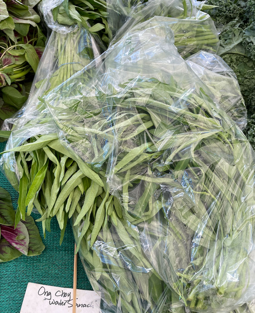 Ong Choy (Water Spinach) [Dream Farms] - FarmShoppr