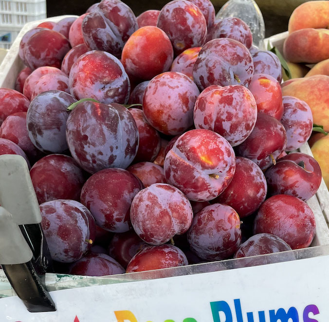Plums (Santa Rosa) [G Farms] - FarmShoppr